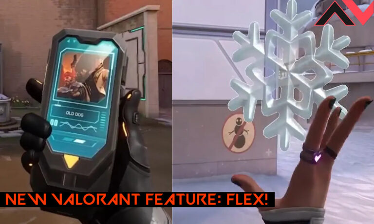 Valorant's New Feature: Valorant Flex – A Unique In-Game Gadget!